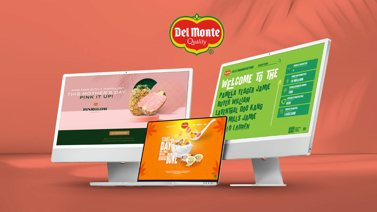 Del Monte - Case Studies - \\Velcro - Your Dev Division