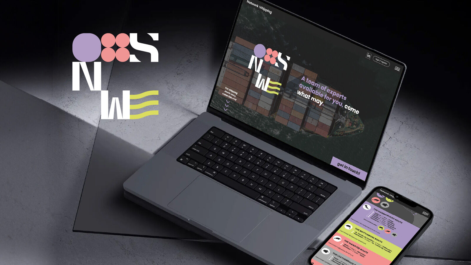 Network Shipping - Case Studies - \\Velcro - Your Dev Division