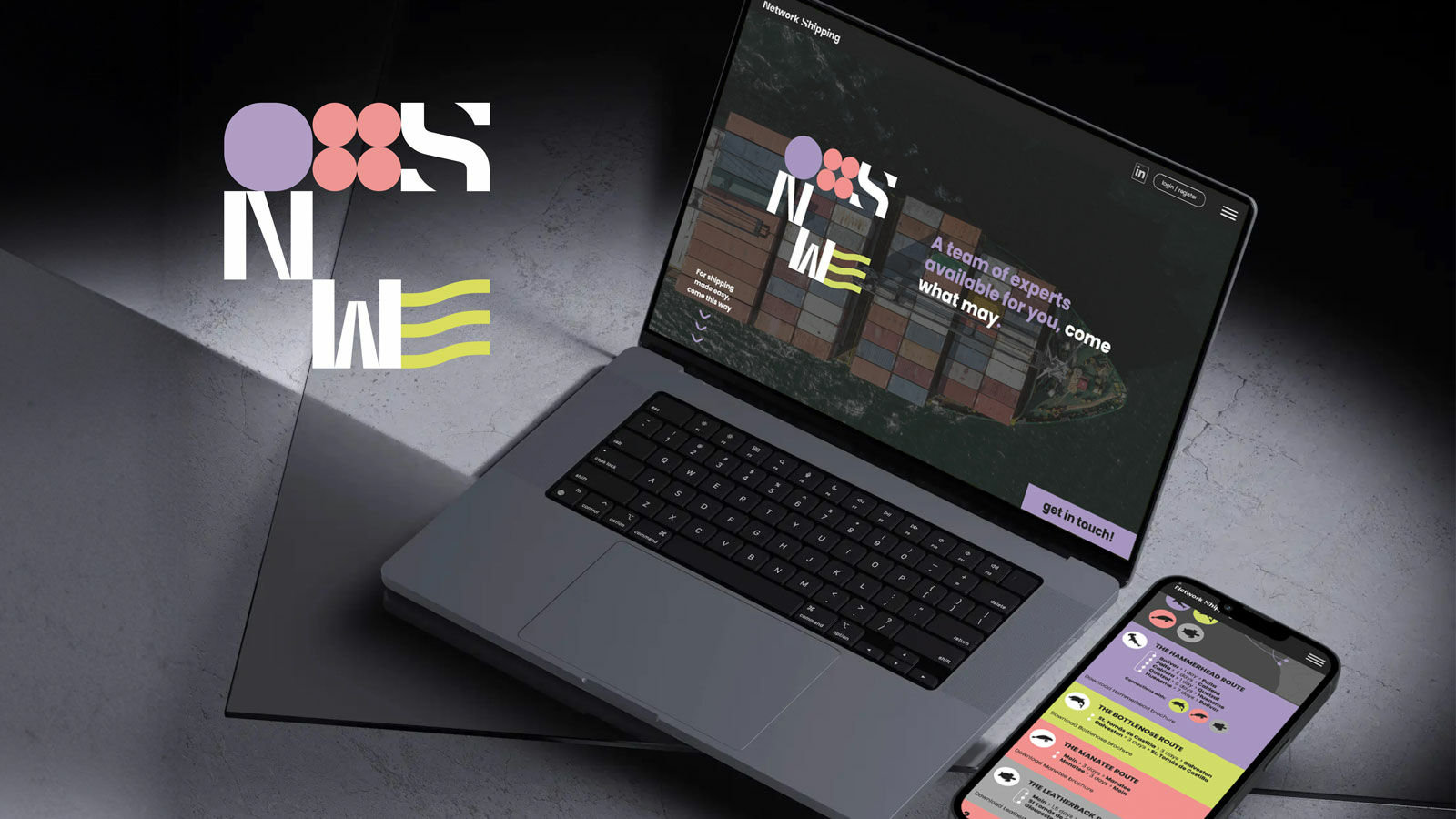 Network Shipping - Case Studies - \\Velcro - Your Dev Division